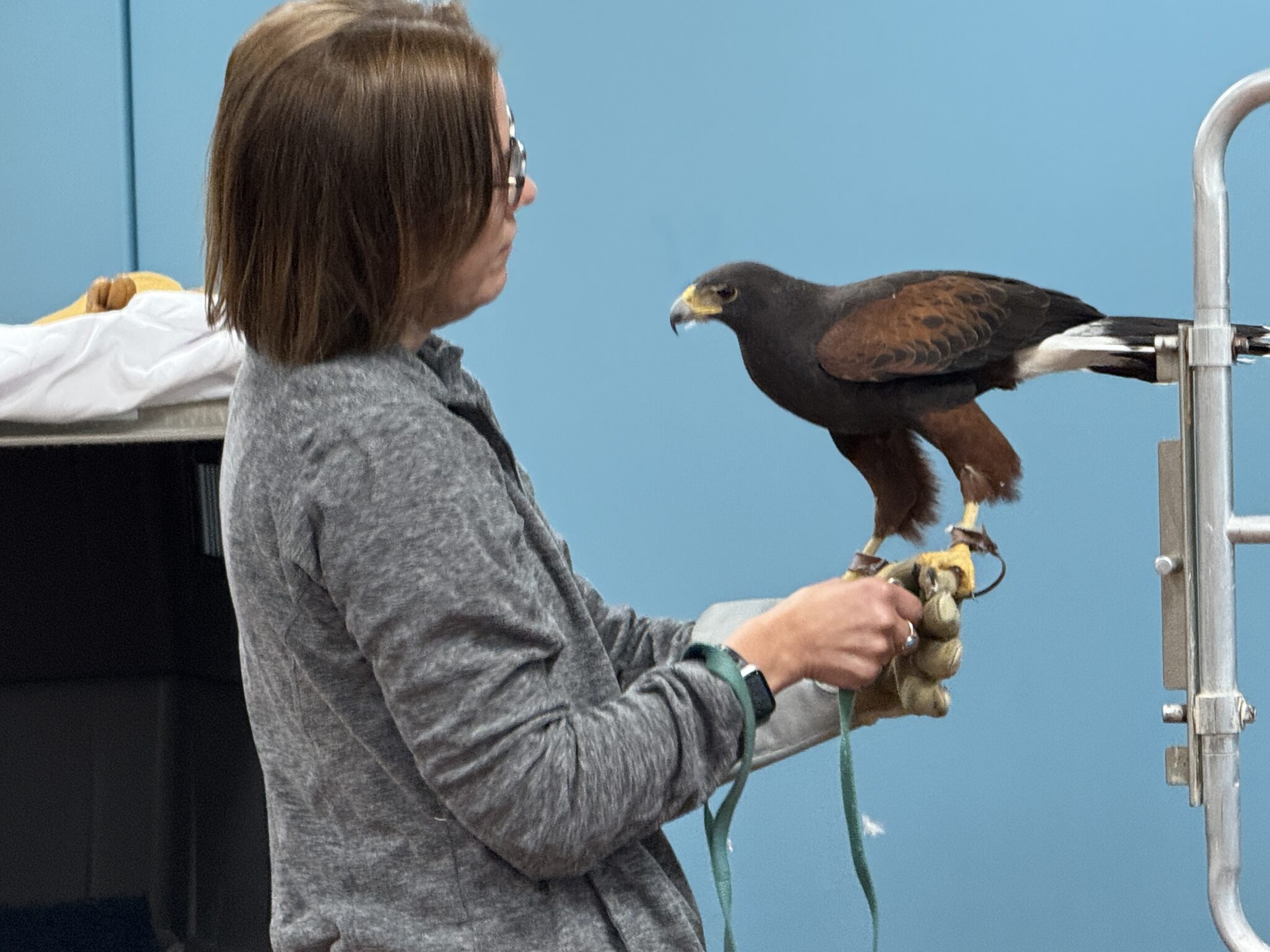 Nature’s Nursery: Where The Wild Things Are - Toledo City Paper